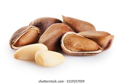 24,238 Cedar seeds Images, Stock Photos & Vectors | Shutterstock
