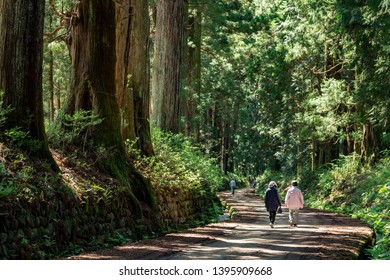 5,283 Cedar Road Images, Stock Photos & Vectors | Shutterstock