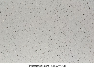 Ceiling Tile Texture Stock Photo 1355294708 | Shutterstock