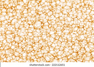 Cell Background Stock Photo 222112651 | Shutterstock