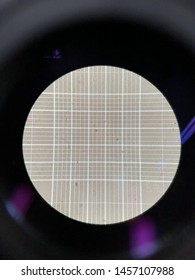 Cell Counter Microscope Stock Photo 1457107988 | Shutterstock