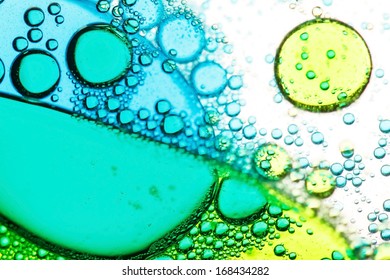 166 Human embryogenesis Stock Photos, Images & Photography | Shutterstock