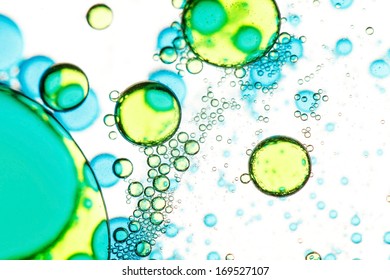 166 Human embryogenesis Stock Photos, Images & Photography | Shutterstock