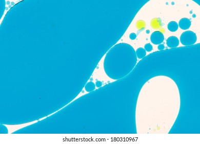 166 Human embryogenesis Stock Photos, Images & Photography | Shutterstock