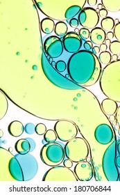 166 Human embryogenesis Stock Photos, Images & Photography | Shutterstock