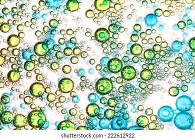 166 Human embryogenesis Stock Photos, Images & Photography | Shutterstock