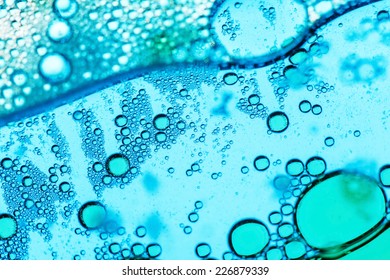 166 Human embryogenesis Stock Photos, Images & Photography | Shutterstock
