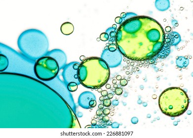 166 Human embryogenesis Stock Photos, Images & Photography | Shutterstock