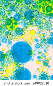 166 Human embryogenesis Stock Photos, Images & Photography | Shutterstock