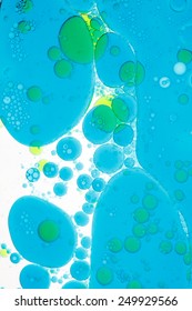 166 Human embryogenesis Stock Photos, Images & Photography | Shutterstock