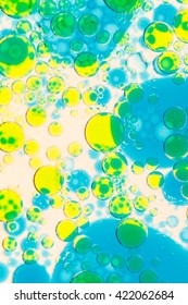 166 Human embryogenesis Stock Photos, Images & Photography | Shutterstock