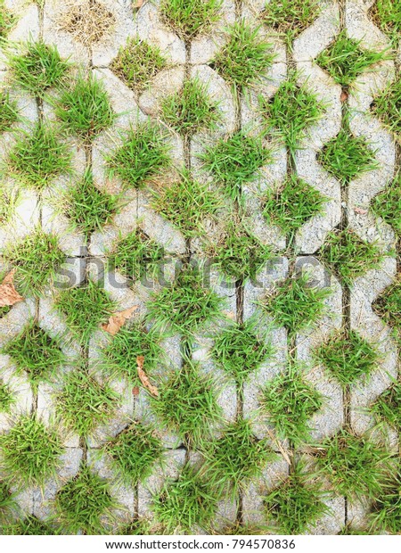 Cement Block Path Way Garden Stock Photo 794570836 | Shutterstock