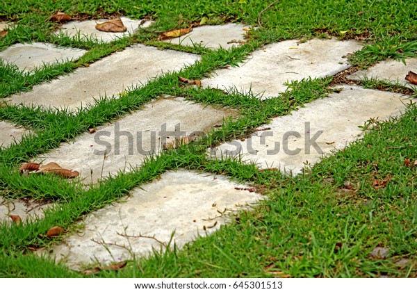 Cement Block Pathway Stock Photo 645301513 | Shutterstock