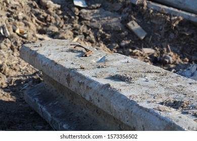 Cement Posts Construction On Road Side Stock Photo 1573356502 ...