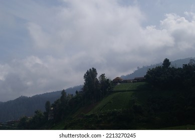 784 The Lawu Park Images, Stock Photos & Vectors | Shutterstock