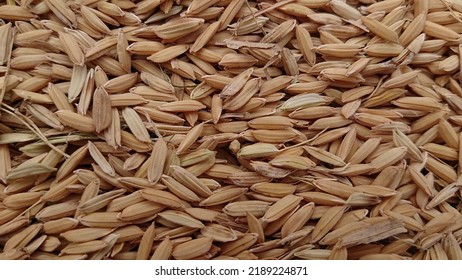 2,503 Rice numbers Images, Stock Photos & Vectors | Shutterstock