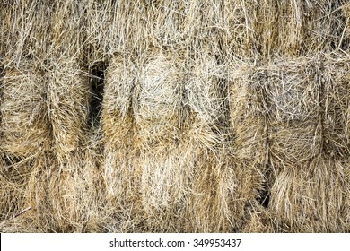 2,779 Wheat From Chaff Images, Stock Photos & Vectors | Shutterstock