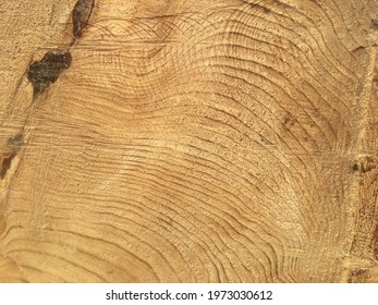 314 Marks Chainsaw Images, Stock Photos & Vectors | Shutterstock
