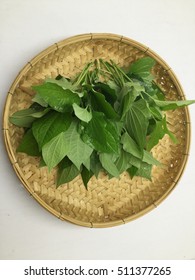 128 imágenes de Cha plu leaves - Imágenes, fotos y vectores de stock ...