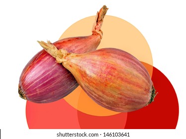 103 Charlotte Onion Images, Stock Photos & Vectors | Shutterstock