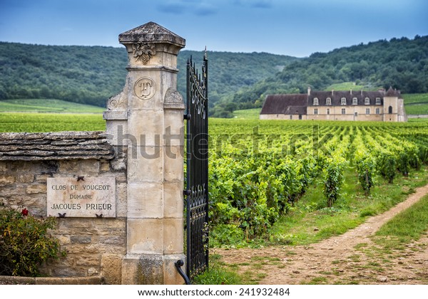 Chateau Vineyards Burgundy France Stock Photo (Edit Now) 241932484 Chateau Vineyards Burgundy France Stock Photo (Edit Now) 241932484