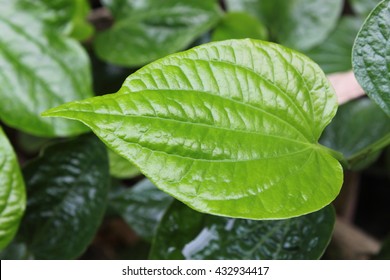 Cheapo Images, Stock Photos & Vectors | Shutterstock