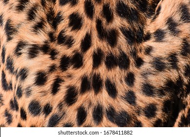 119,918 Skin cheetah Images, Stock Photos & Vectors | Shutterstock