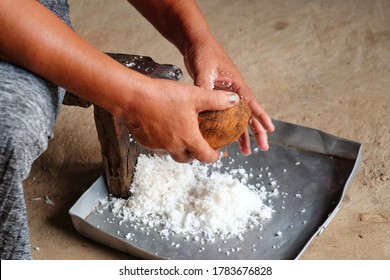 868 Coconut scrape Images, Stock Photos & Vectors | Shutterstock