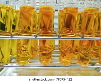 Chemical Solution Inside Test Tubes Stock Photo (Edit Now) 790754422