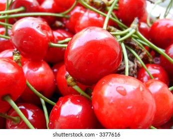 Stock Photo and Image Portfolio by Cocota Anca | Shutterstock