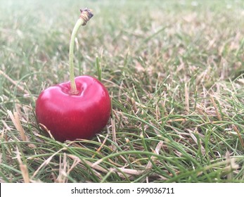 Cartera de fotos e imágenes de stock de Barabka | Shutterstock