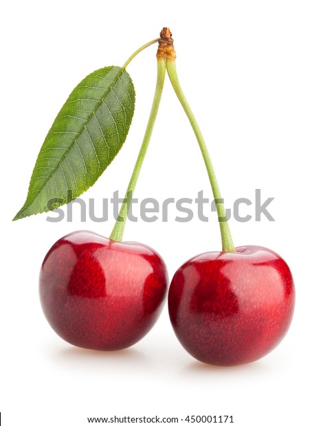 Cherry Isolated Stock Photo 450001171 | Shutterstock