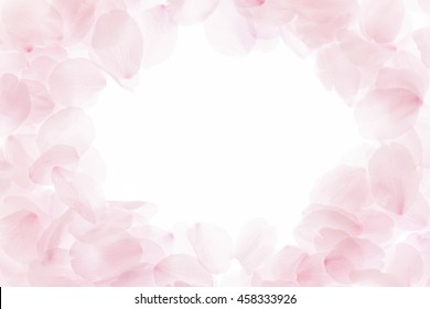 Cherry Tree Frame Stock Photo 458333926 | Shutterstock