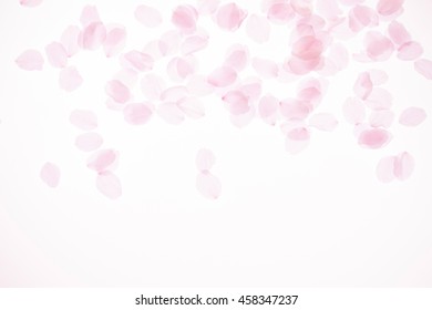 Cherry Tree Studio Background Stock Photo 458347237 | Shutterstock