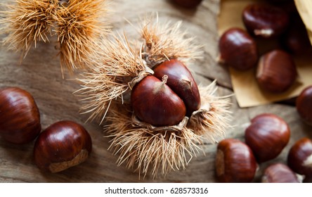 Chestnuts Stock Photo 628573316 | Shutterstock