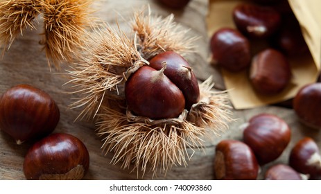Sweet Chestnuts Nuts Spiky Shells Roasted 스톡 사진 1215733657 | Shutterstock