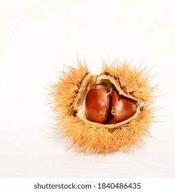 896 Shiny conkers Images, Stock Photos & Vectors | Shutterstock