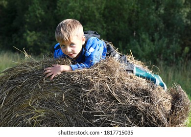 1,598 Climbing straw Images, Stock Photos & Vectors | Shutterstock