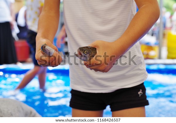 Children Grab Fish Stock Photo 1168426507 | Shutterstock