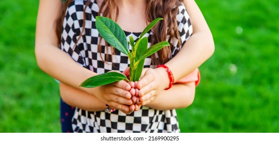 1,094 Human heart growing tree Images, Stock Photos & Vectors ... 1,094 Human heart growing tree Images, Stock Photos & Vectors ...