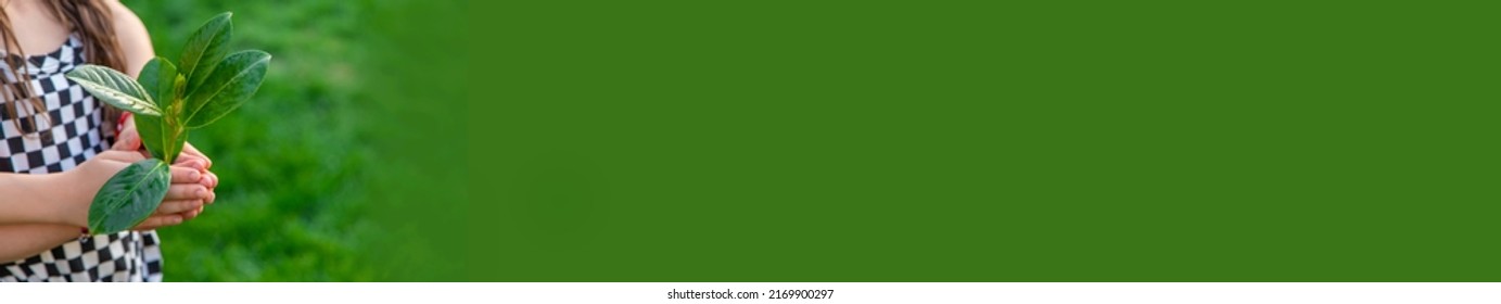 1,094 Human heart growing tree Images, Stock Photos & Vectors ... 1,094 Human heart growing tree Images, Stock Photos & Vectors ...