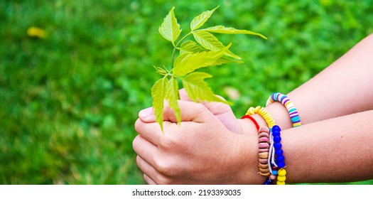 1,094 Human heart growing tree Images, Stock Photos & Vectors ... 1,094 Human heart growing tree Images, Stock Photos & Vectors ...