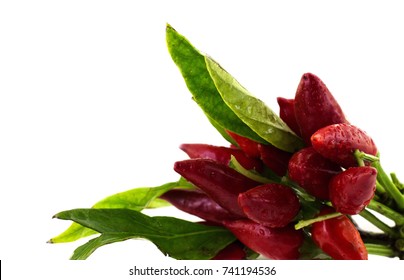 Chilli White Background Stock Photo 741194536 | Shutterstock