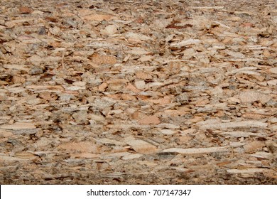 43 Qsb board 图片、库存照片和矢量图 | Shutterstock