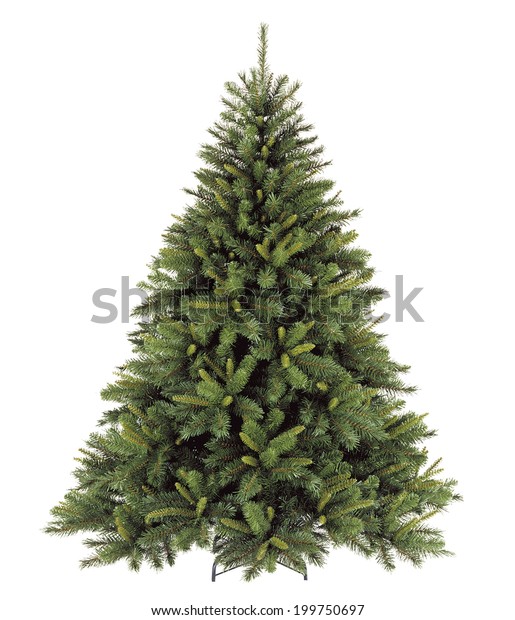 Christmas Pine Tree Stock Photo (Edit Now) 199750697