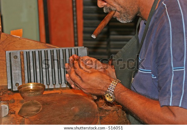 Cigar Making Stock Photo 516051 | Shutterstock