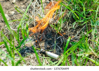 Cigarette Causing Dangerous Fire On Forest Stock Photo 1376704499 ...