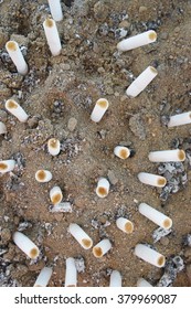 Cigarette Stub Sand Ashtray Top View Stock Photo 651048472 | Shutterstock