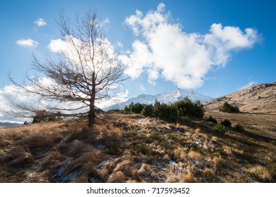 1,114 imágenes de Monte cimone - Imágenes, fotos y vectores de stock ...
