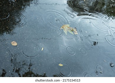 Circle Raindrops Falling Into Puddle Reflection Stock Photo 2175154513 ...